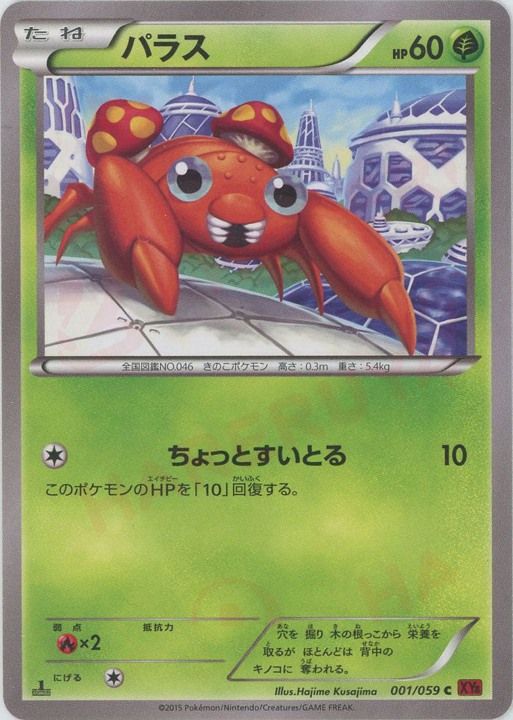 パラス(C){草}〈001/059〉[XY8-r] – 晴れる屋2 大宮店