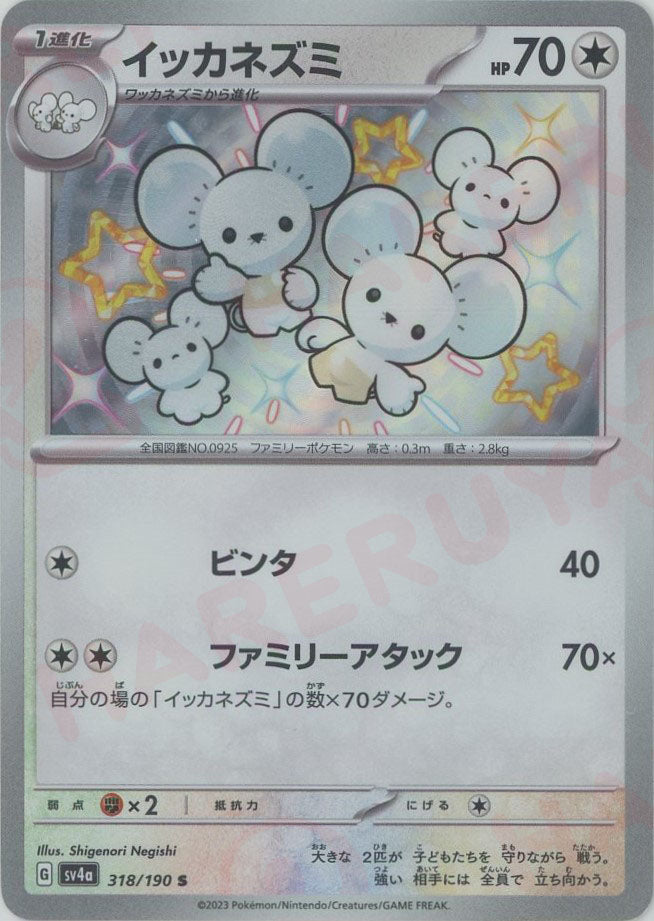 イッカネズミ(S){無}〈318/190〉[SV4a] – 晴れる屋2 大宮店